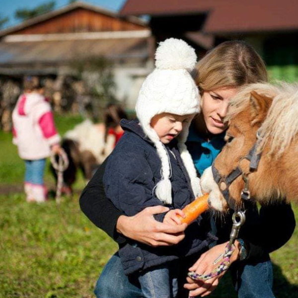 Team & Tiere • Tiere hautnah | Begegnungshof Regina Eisl