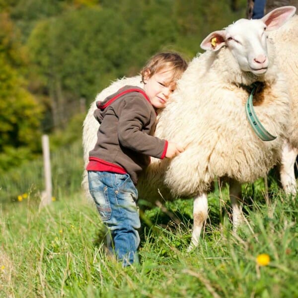 Team & Tiere • Tiere hautnah | Begegnungshof Regina Eisl